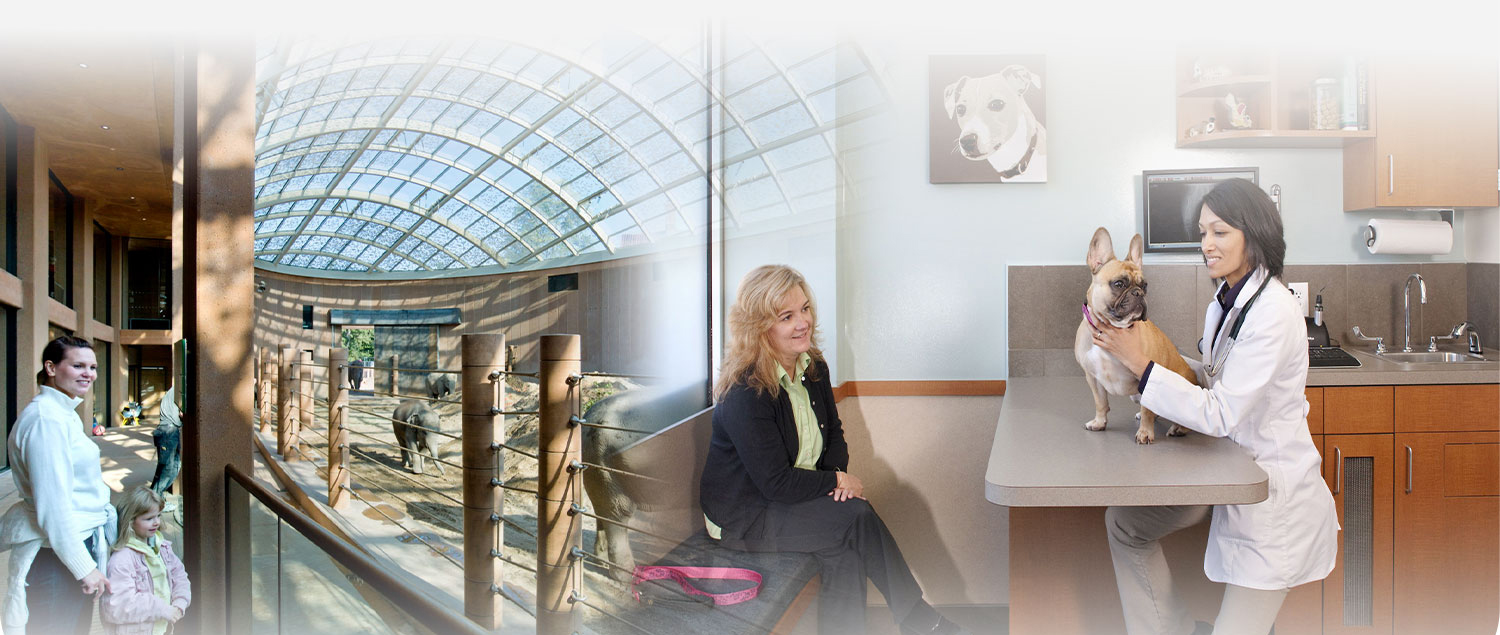 Innovate veterinary diagnosis and protect animal health! - BIOBASE LLC