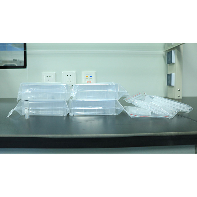 Nucleic Acid(DNA/RNA) Extraction Reagent(Magnetic Beads Method) - Buy ...